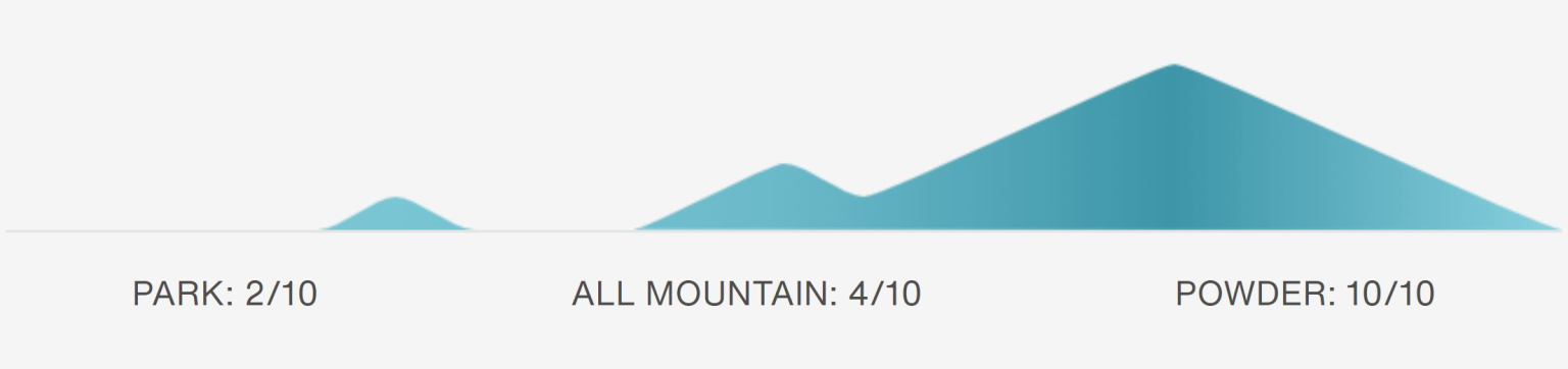 BURTON FISH 3D DIRECTIONAL - آکادمی ورزشی فونیکس
